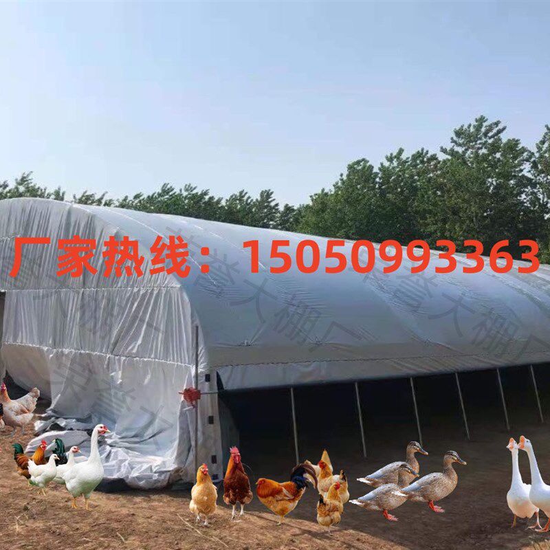 养殖大棚骨架钢管全套养殖鸡鸭鹅猪牛羊大棚全S套食用菌温室大棚