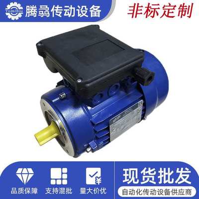 意大利布鲁尼BRUNI单相电容电机厂家直销0.09KW~~4KW