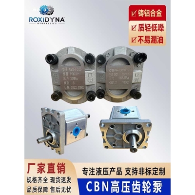 液压齿轮泵CBN-F304CB306F310F314F316F320F325小型高压油泵