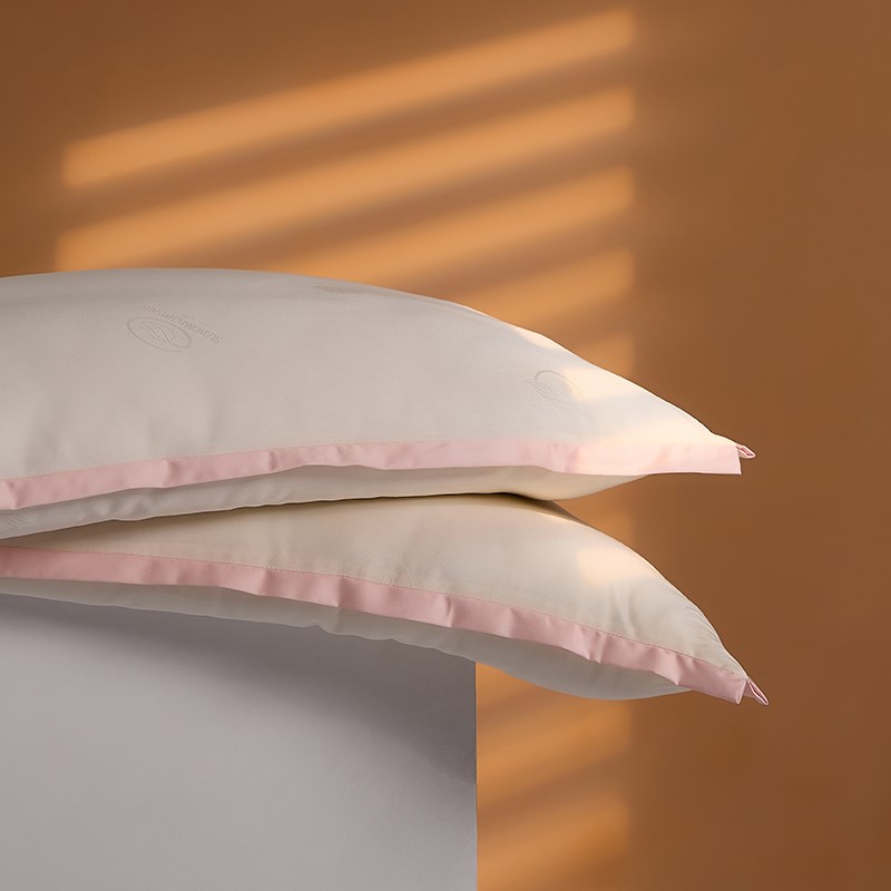 肥子妈低枕头夏季蚕丝美肤枕头护助睡眠柔软矮枕一对装