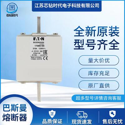 170M6191 170M6192 170M6193 巴斯曼BUSSMANN熔断器保险丝