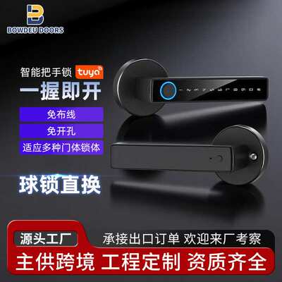 跨境亚马逊热销3D人脸识别智能门锁全自动密码锁fingerprint lock