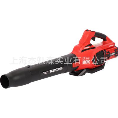 TOPSUN手提式风机TBBL-160HS道路吹落叶工厂吹灰尘60V