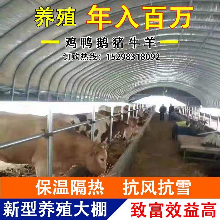 大棚骨架钢管牛棚羊圈猪舍鹅v兔养鸡场椭圆管温室蔬菜养殖大棚保