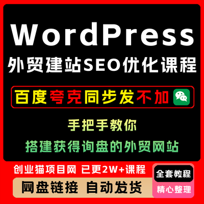 WordPress外贸建站+SEO优化课零基础上手搭建获得询盘外贸网站