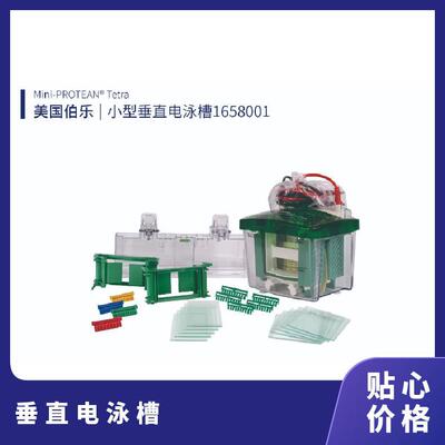伯乐小型垂直电泳槽1658001 工作温度0-40°C 数量99 4块