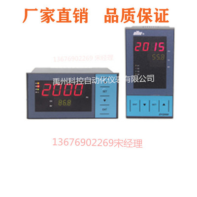 东辉脉冲数显仪原装正品