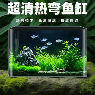 高清热弯玻璃鱼缸新款家用小生态缸斗鱼金鱼缸桌面客厅透明水族箱