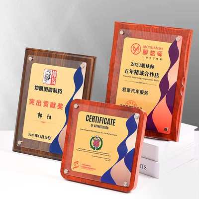 奖牌加盟商经销商荣誉创意金属牌匾优秀团队公司颁奖