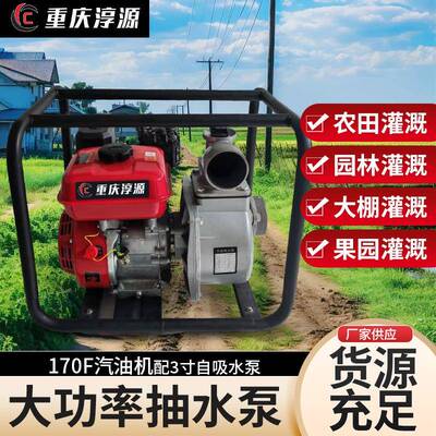 淳源汽油机自吸水泵汽油抽水机农用抽水泵3寸灌溉高压厂家直销