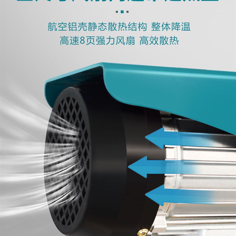 微型电动吊车220V家用起重提升机1吨吊葫芦升P降机小型吊机卷扬机