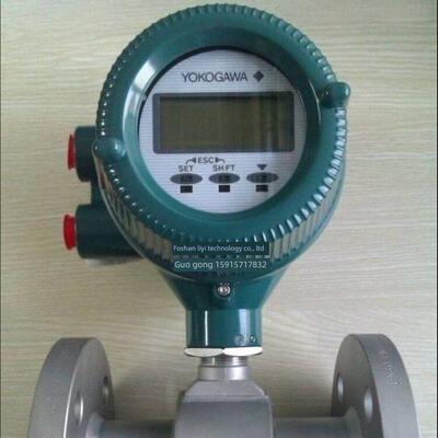 横河电磁流量计SF0025 AXW065 AXG080 AXF050G 涡街流量计 DY100