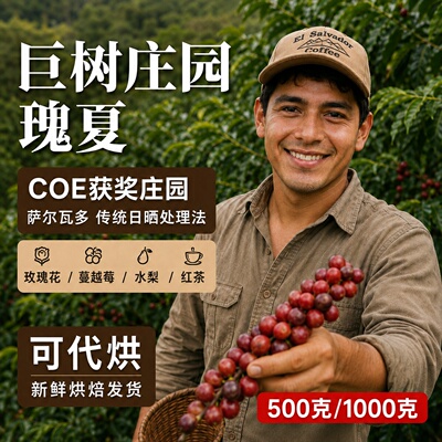 (咖啡生豆)萨尔瓦多瑰夏咖啡豆巨树庄园日晒瑰夏咖啡豆手冲咖啡豆