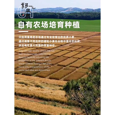 Mancini Spaghtti/Paccheri 意大利曼奇尼牌粗意大利面 通心粉1kg