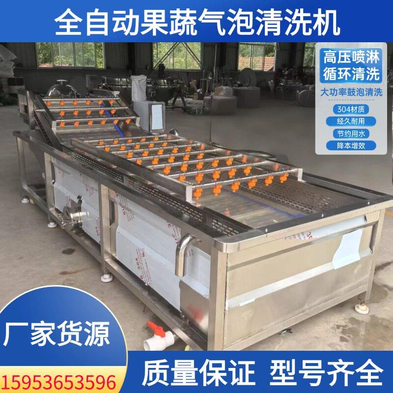 大型果蔬气泡清洗机商用桑葚香葱去农残洗菜机甜苣菜清洗流水线