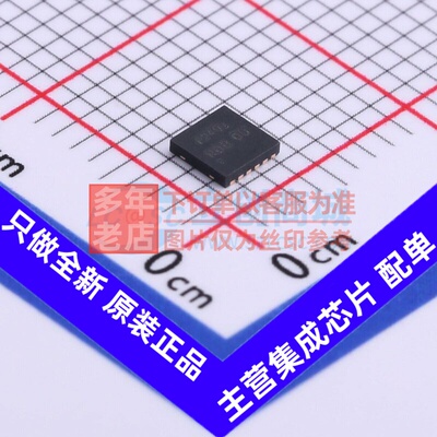 DC-DC电源芯片 PAM2401YPADJ WDFN-12 DIODES(美台) 电子元件配单