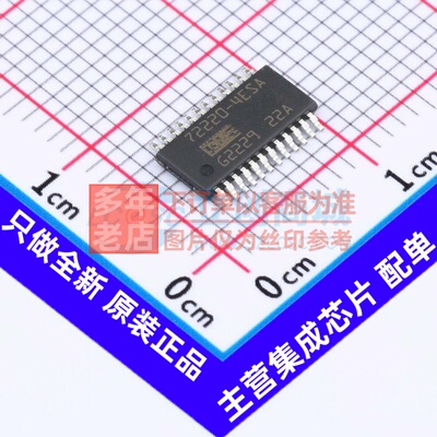 照明驱动 BTS722204ESA TSSOP-24 Infineon(英飞凌) 电子元件配单