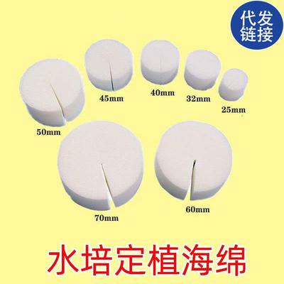 无土栽培定植棉蔬菜固定海绵水培菜吸水海绵种菜固根大棚种菜海绵