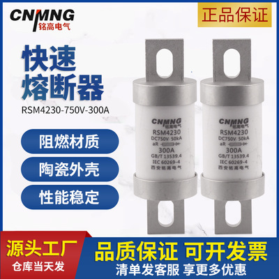 DC1000V直流熔断器RS309充电桩新能源电动汽车熔断器铭高RSM4230