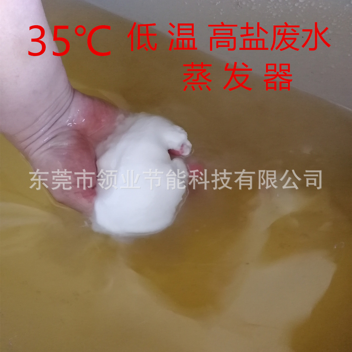 定制MVR母液 低温蒸发器 高盐废水蒸馏 干燥机 RO浓水蒸发设备