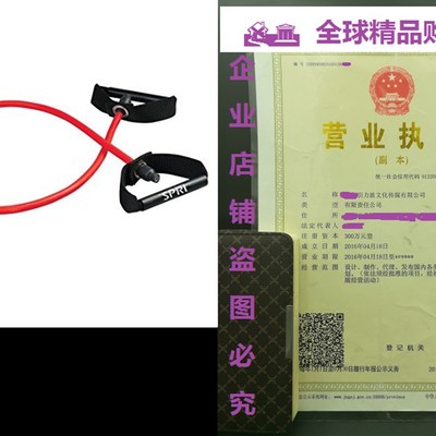 SPRI Xertube Resistance Band Exercise Cords