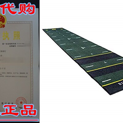 Birdie Maker 10 Foot Putting Mat - Golf Training Putting Aid