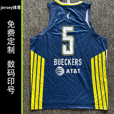 WNBA达拉斯飞翼队球衣定制印号