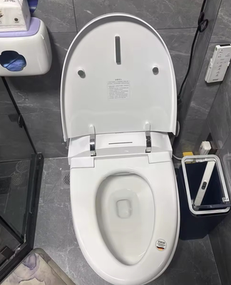 智能马桶配件 贝朗座圈阻尼器