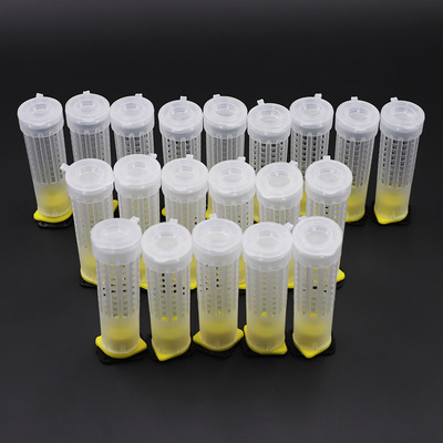 极速20 Pcs Beekeeping Protective Queen Cell Cup Queen Bee