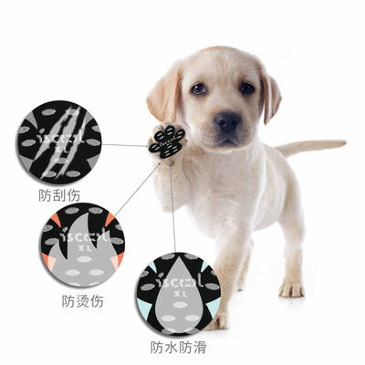 宠物隐形足贴防滑脚贴防刮防烫防尘防水狗狗脚垫遛狗居家狗鞋