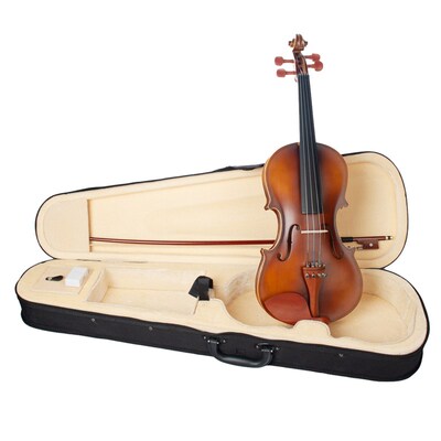 好货1 Set Jujube Wood 4/4 Size Acoustic Violin for Violinist
