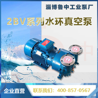 2BV-5110系列水环式真空泵 质保一年终生维护淄博鲁中工业泵厂