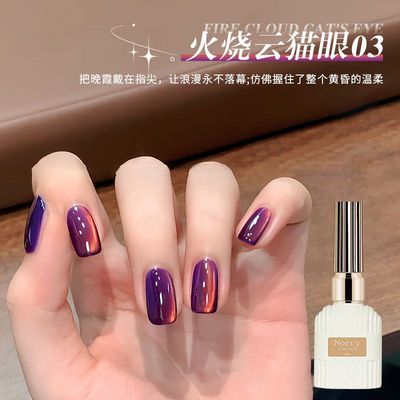 火烧云猫眼指甲油胶2025年新款