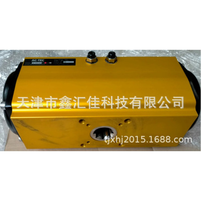 气动执行器 AD100N22S00A/6        DONGJOOAP