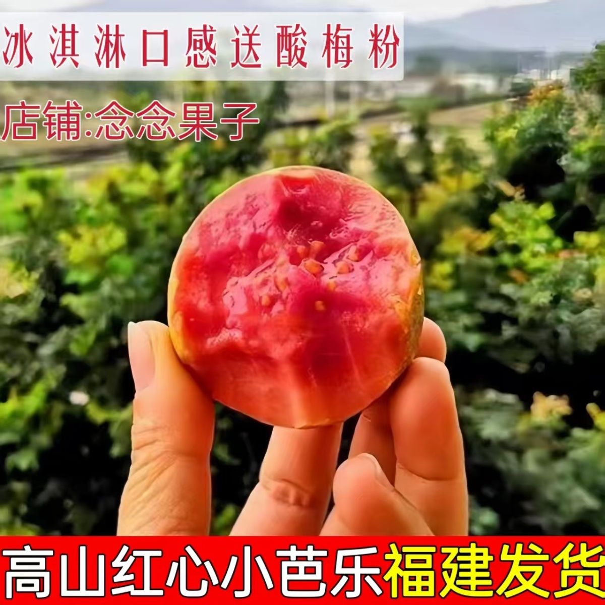 红心芭乐香甜番石榴新鲜软心心软水果当季红心香软应季红软鸡屎果