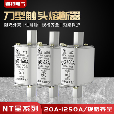 NT00熔断器RT36-00熔断丝熔芯保险丝25A32A40A50A63A80A100A陶瓷
