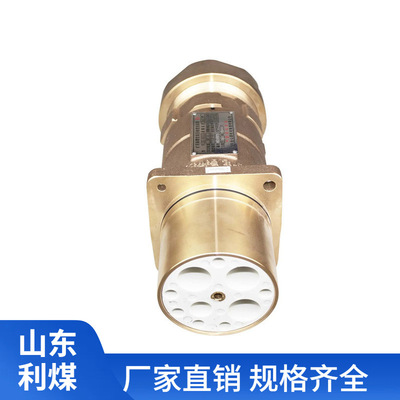 LBD5-25/250隔爆型电缆连接器