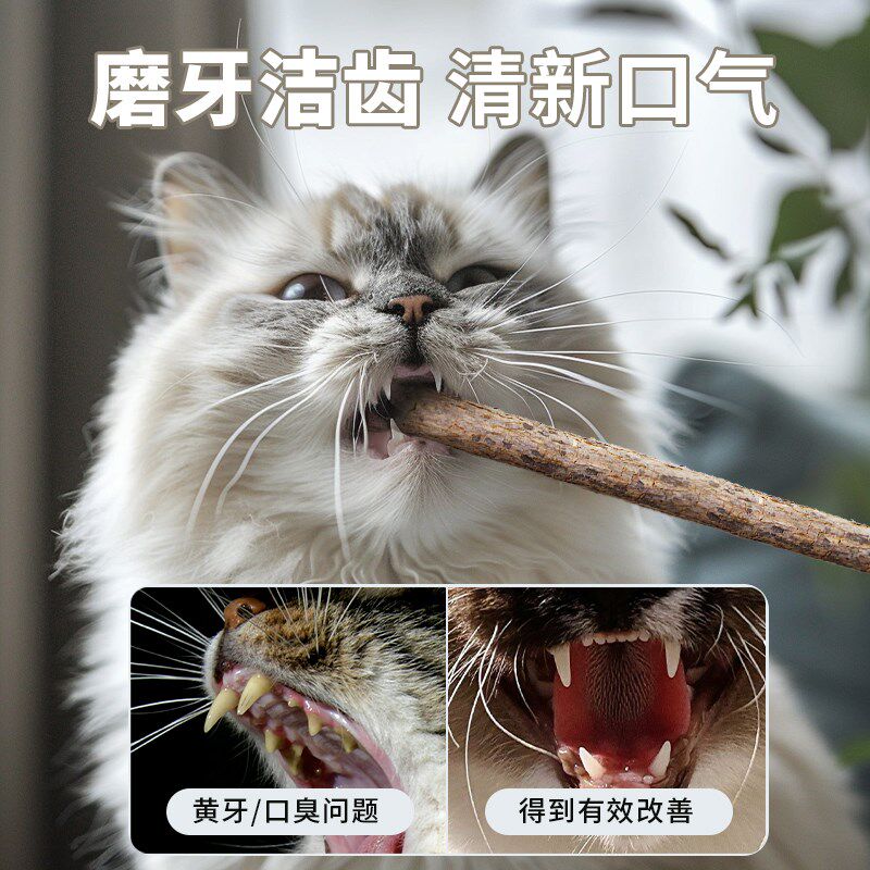 超长48cm长杆木天蓼磨牙棒自嗨解闷磨牙逗猫棒玩具猫薄荷猫咪零食
