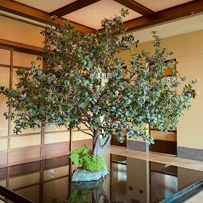 仿真装扁PRL柏树茶树冬青沙棘树绿植园观酒店商林场庭院景布置饰