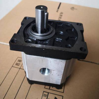 CBTt-F啸316L6P7LCBTt-F31齿轮泵BTt-F320L6CP液压泵上海力螺7纹