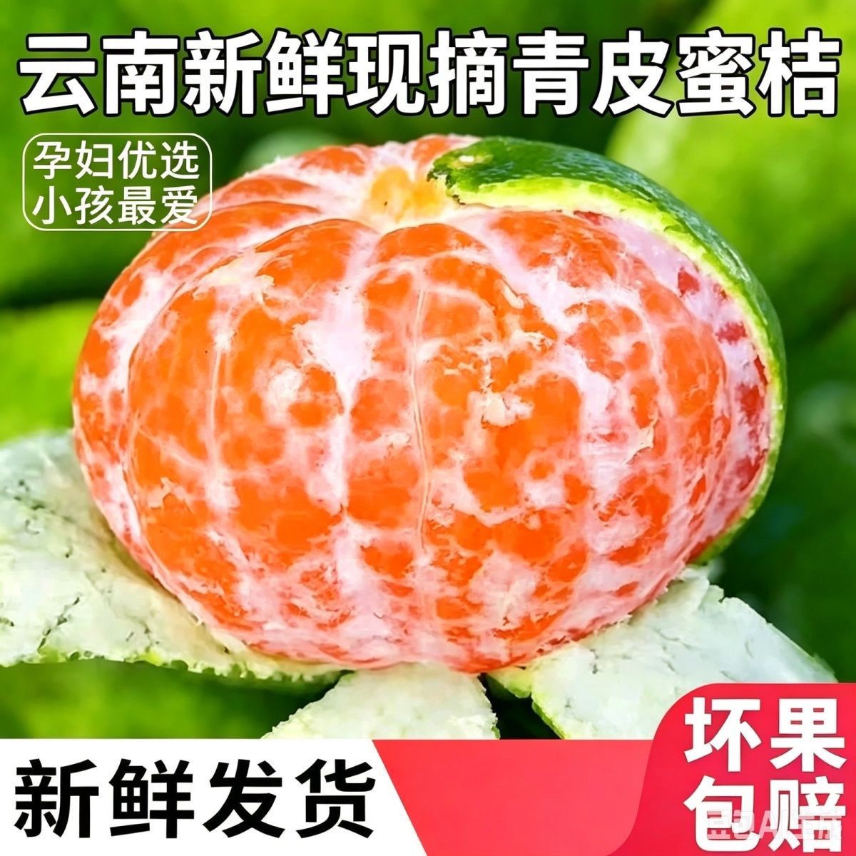 高山青皮蜜橘无籽橘子蜜桔子新鲜薄皮酸甜现摘云南果园直发