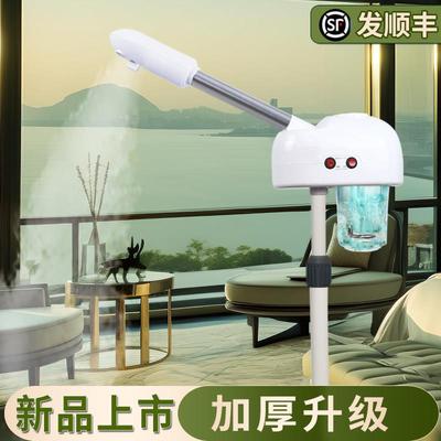 泰东热喷仪美容院专用蒸脸器打开毛孔非排毒热喷仪器蒸脸仪蒸汽机