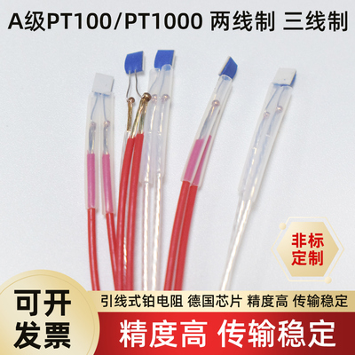铂电阻PT100/PT1000A级热电阻温度传感器测温芯片温度探头Heraeus