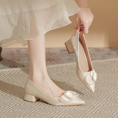 仙女风粗跟中跟尖头夏季低跟法式单鞋女2I024年新款晚晚鞋大码女