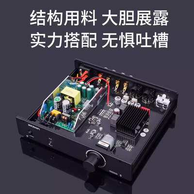 伟良 TPA3255 XLR全平衡输入 大功率输出 300W*2发烧数字功放机