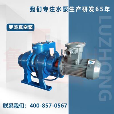 ZJ-150系列罗茨真空泵淄博鲁中工业泵厂旋转式真空泵供应