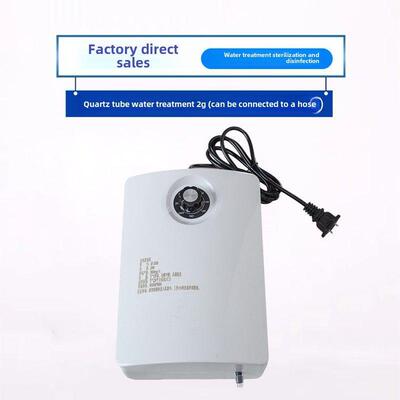 臭氧发生器多功2000MG杀菌消毒机水处理鱼缸家用果蔬解毒机洗菜瓜