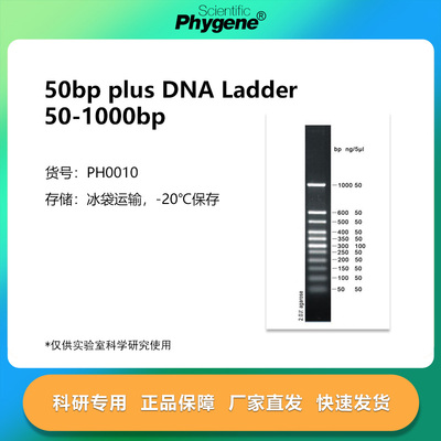 50bpplusDNALadder50-1000