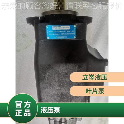 液压油泵T6E-062-1R00-A1定量叶片泵3525VQH35A19-1AA-22R