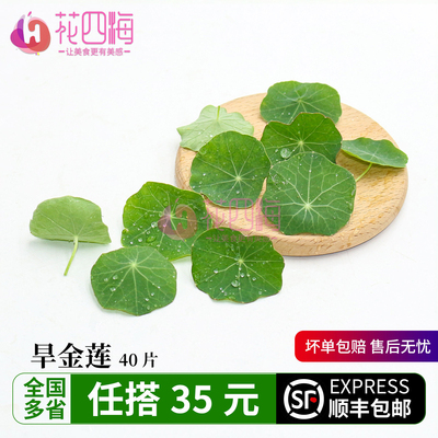 新鲜旱金莲叶 40片/盒 日料西餐冷菜装饰摆盘点缀花草 非铜钱草